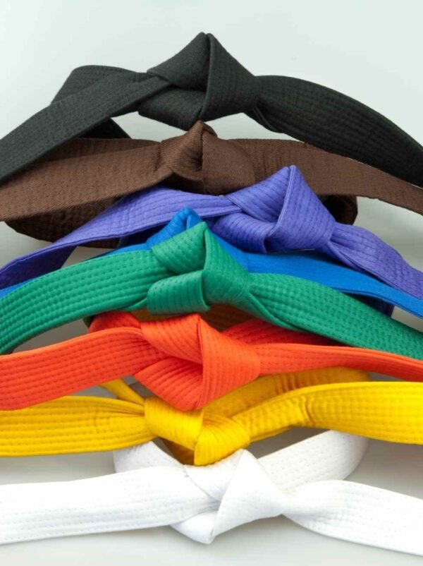 How martial arts rank progression work | Evoke Academy