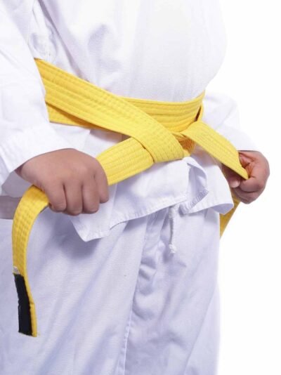 How martial arts rank progression work | Evoke Academy